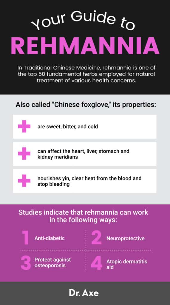 Rehmannia Root Benefits, Uses, Side Effects and More - Dr. Axe