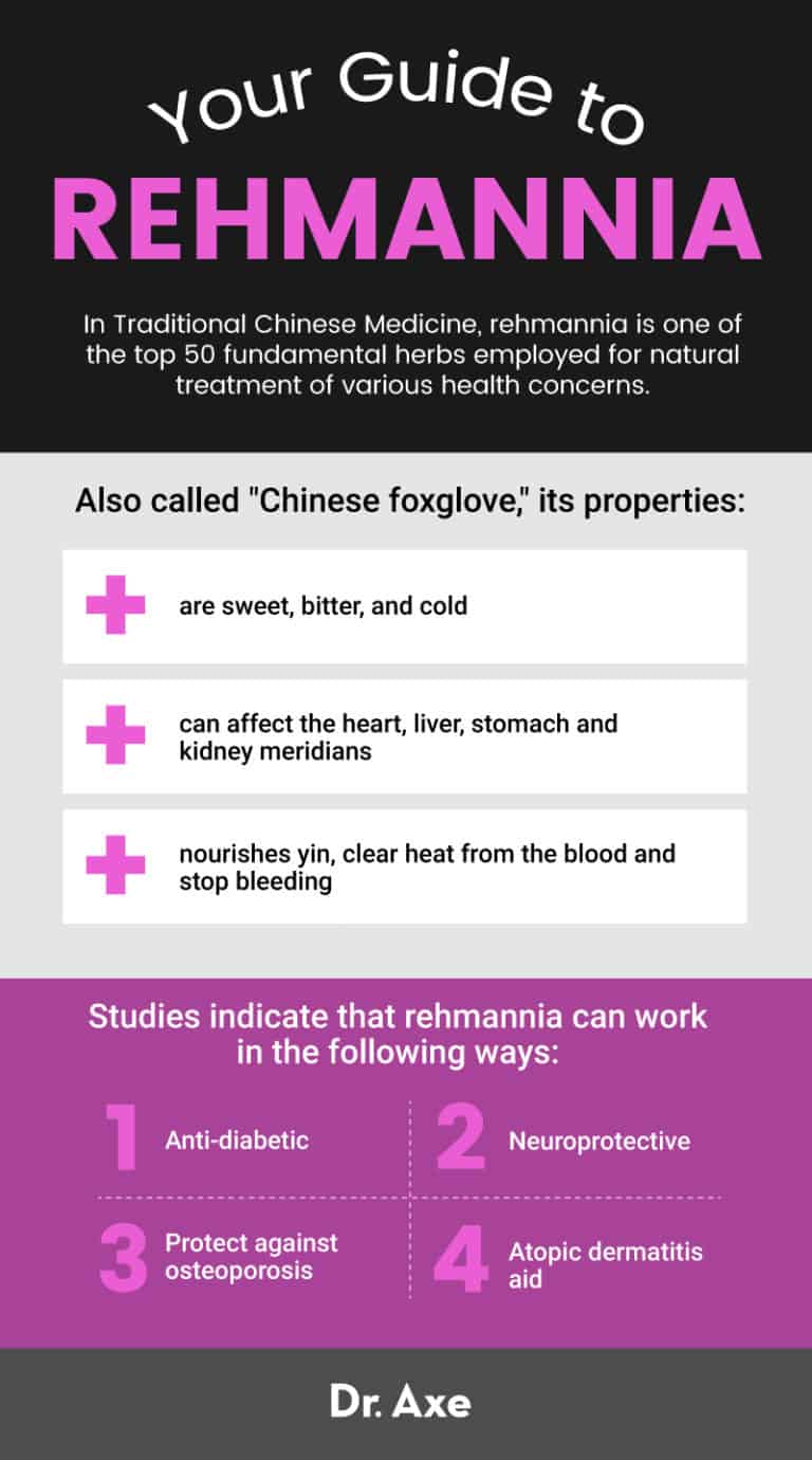 Rehmannia Root Benefits, Uses, Side Effects and More - Dr. Axe