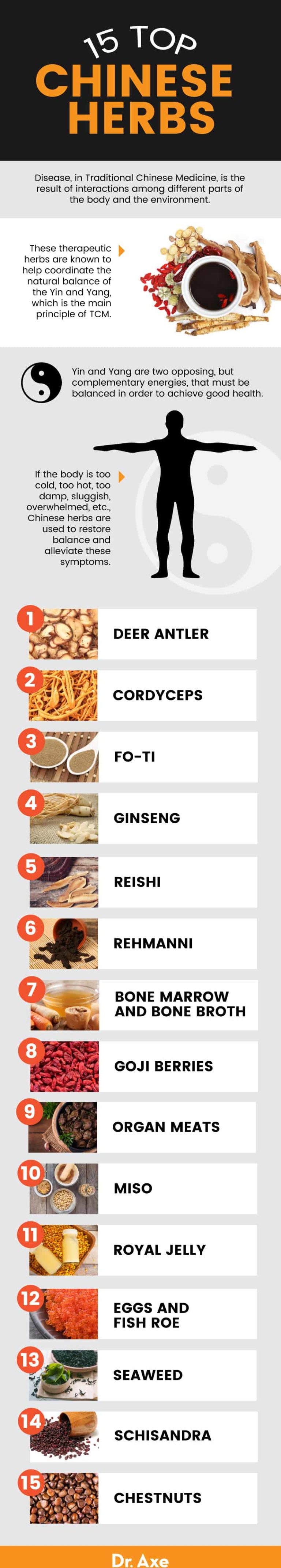 Best Chinese Herbs to Improve Health and Lower Disease Risk - Dr. Axe