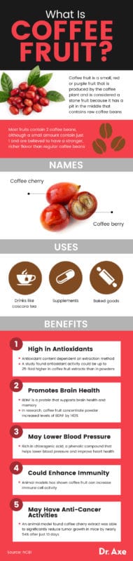 Coffee Fruit Nutrition vs. Coffee Beans: How Do They Compare? - Dr. Axe