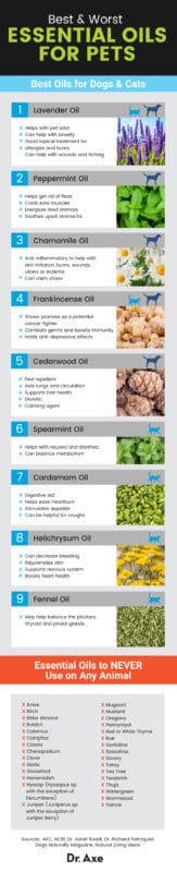 Essential Oils for Pets: The Best & Worst Oils to Use - Dr. Axe