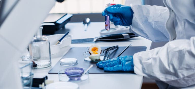 GMO Foods: Risks, How to Avoid and Better Alternatives - Dr. Axe