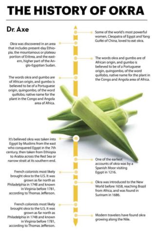 Okra Nutrition, Benefits, Uses, Recipes and Side Effects - Dr. Axe