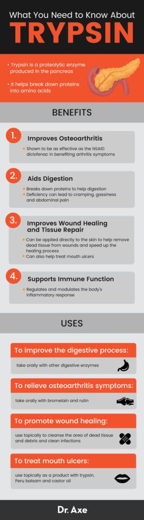 Trypsin: Do You Need More of This Enzyme? - Dr. Axe