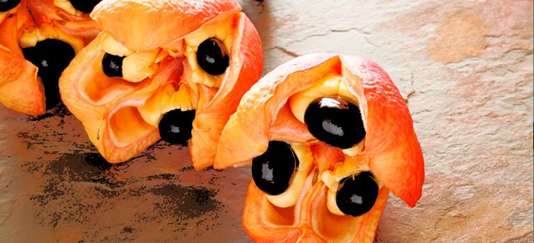 Ackee Fruit: Good for the Heart and Gut or Poisonous Toxin? - Dr. Axe