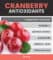 Cranberries: Benefits, Nutrition, Cranberry Recipes, Supplements - Dr. Axe