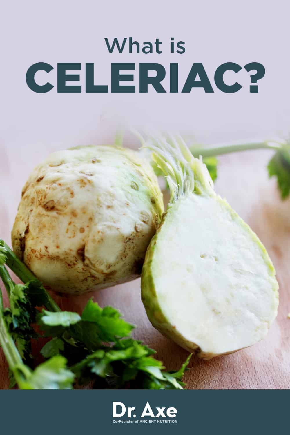 What Is Celeriac? Benefits, Nutrition, Recipes and More - Dr. Axe