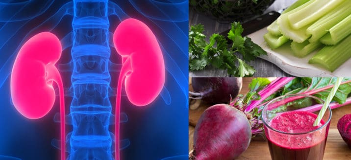 Renal Diet Foods List and Eating Plan for Kidney Disease - Dr. Axe