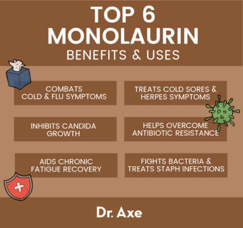 Monolaurin Benefits, Uses, Side Effects, Sources and Interactions - Dr. Axe
