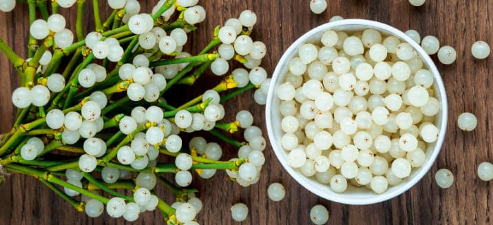 What You Need to Know About Mistletoe: Benefits, Uses - Dr. Axe