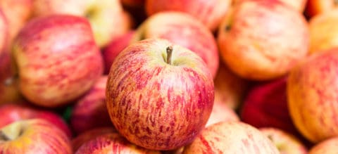 Rutin Benefits, Uses, Recipes, Side Effects and More - Dr. Axe