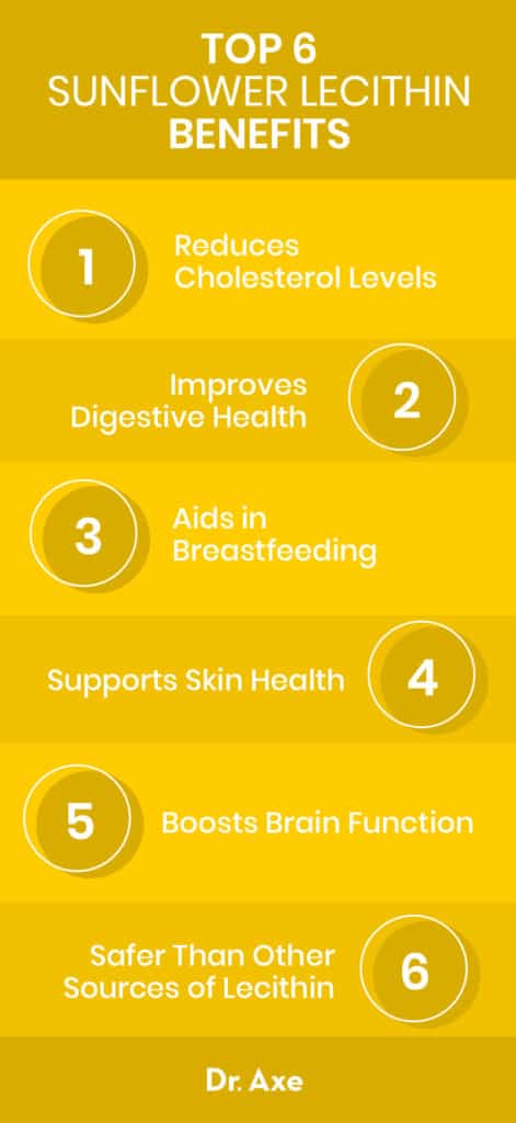 Sunflower Lecithin Benefits, Uses, Supplements and Side Effects - Dr. Axe
