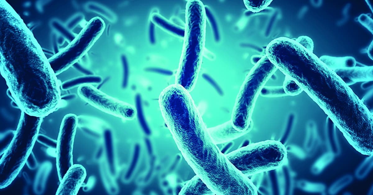 What Are Synbiotics? Benefits, Dosage, Side Effects, Supplement - Dr. Axe