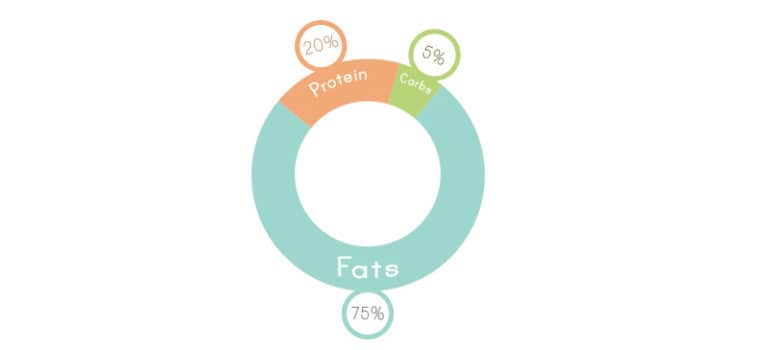 Keto Macros: How to Calculate Your Nutrient Ratios in 5 Steps - Dr. Axe