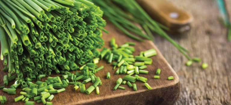What Are Chives Good For? Benefits, Use, Recipes and More - Dr. Axe