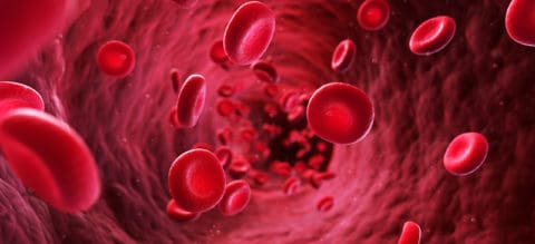 Hyperkalemia Symptoms, Causes and Treatment - Dr. Axe