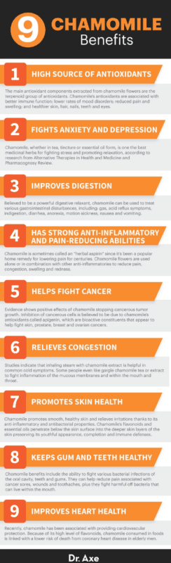 Chamomile Health Benefits, Uses and Side Effects - Dr. Axe