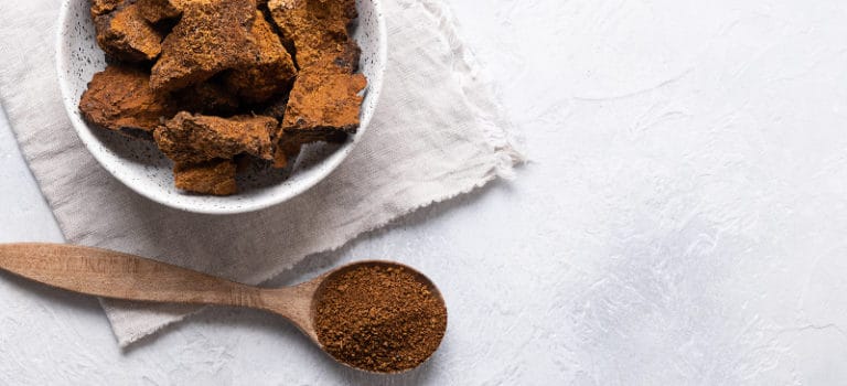Chaga Mushroom: 5 Benefits and How to Make Chaga Tea – Circle C Farm