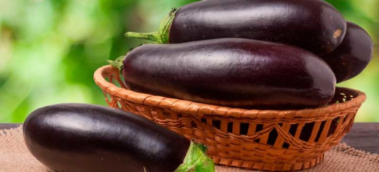 Eggplant Nutrition, Benefits, Types, How to Cook and Recipes