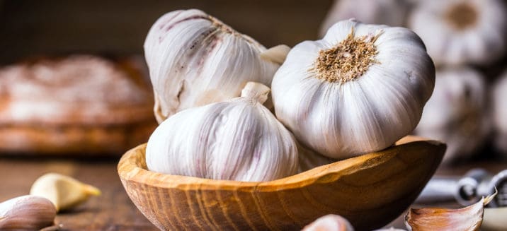 Garlic Benefits, Uses, Nutrition and Interactions - Dr. Axe
