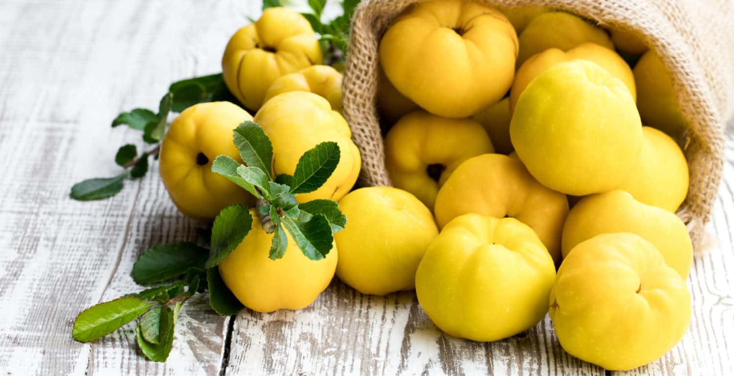 What Is Quince Fruit Top 6 Benefits How To Eat It Dr Axe