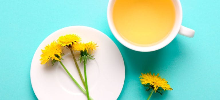 Dandelion Tea Benefits, How to Make and Side Effects - Dr. Axe
