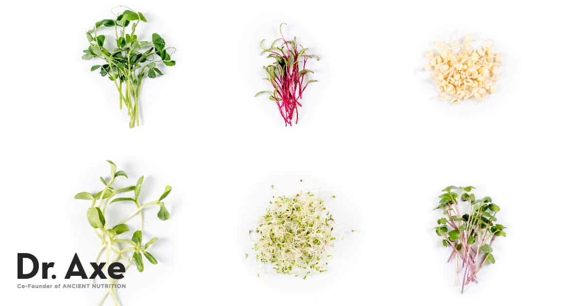 Microgreens: Nutrition, Benefits and How to Grow Them - Dr. Axe