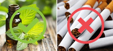 Is Menthol Bad for You? Uses, Benefits and Side Effects - Dr. Axe