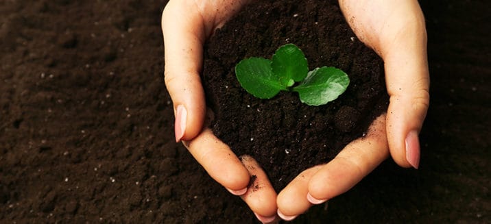 What Is Humus? Plus, How To Make It Yourself - Dr. Axe