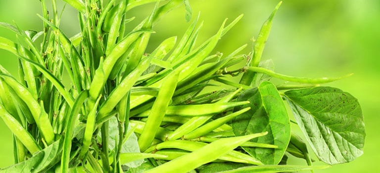 Guar Gum Benefits, Precautions and How to Use - Dr. Axe