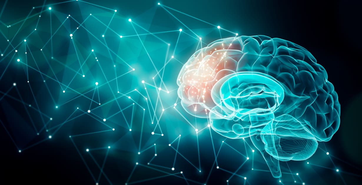 Can Reduced Brain Activity Boost Longevity? - Dr. Axe