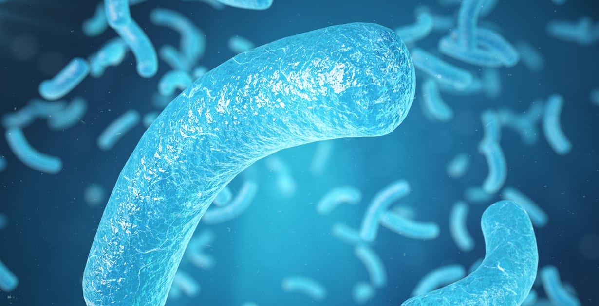 Microbial Protein: A More Sustainable Vegan Protein or All Hype? - Dr. Axe