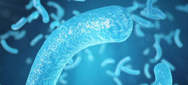 Microbial Protein: A More Sustainable Vegan Protein or All Hype? - Dr. Axe