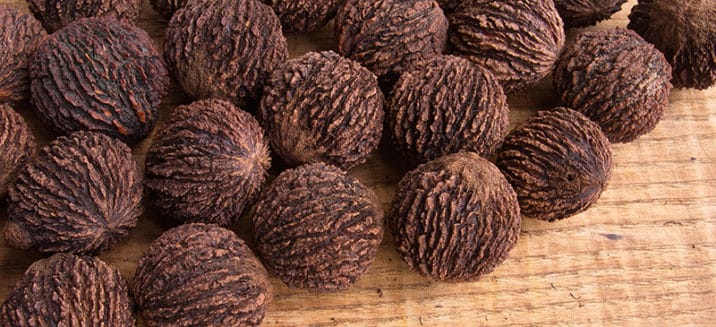Black Walnut Benefits, Uses and Nutrition Facts - Dr. Axe