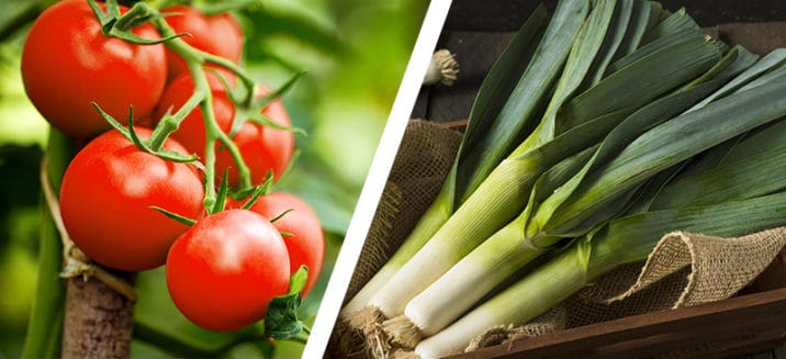 Oligosaccharides Benefits, Foods and Side Effects - Dr. Axe