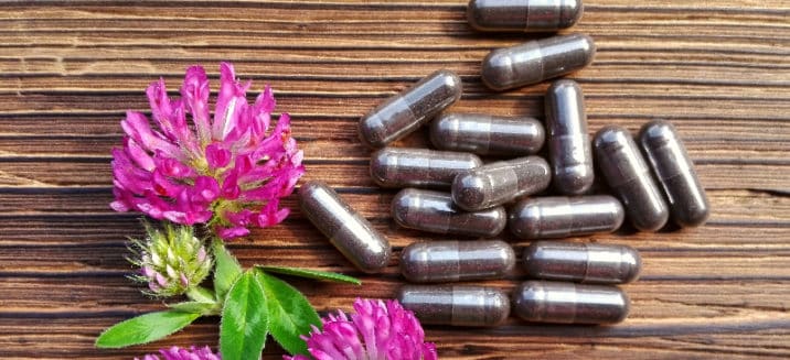 Red Clover Benefits, Uses, Dosage and Side Effects - Dr. Axe