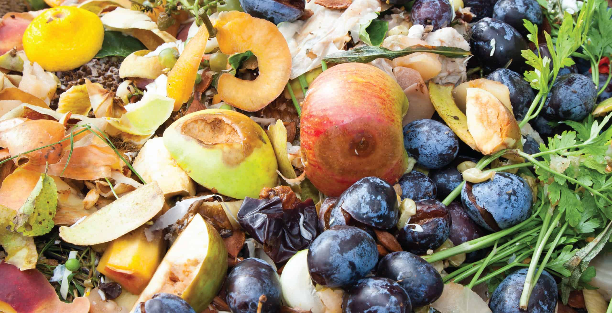 Food Waste Study: Alarming Facts and How to Reduce Waste - Dr. Axe