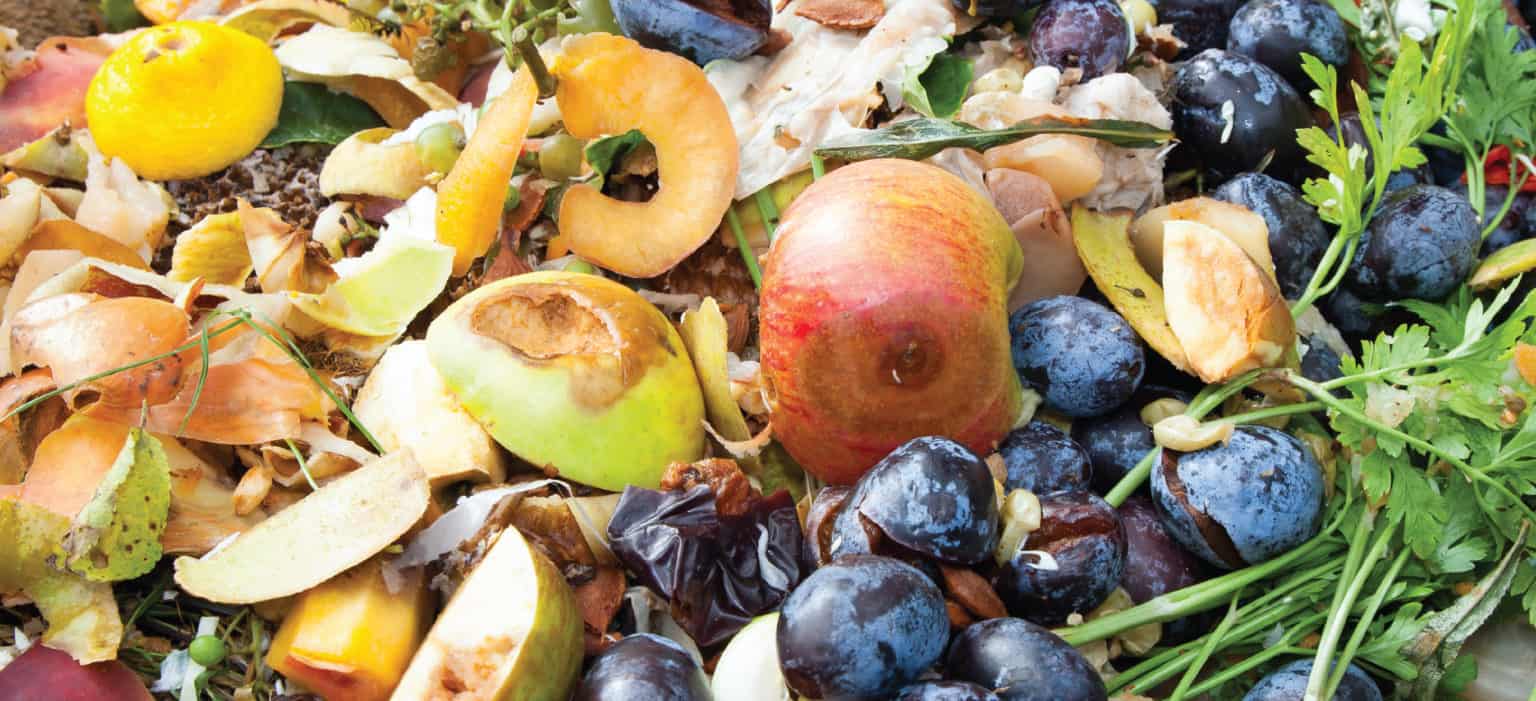 Food Waste Study: Alarming Facts and How to Reduce Waste - Dr. Axe