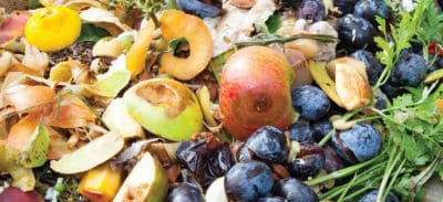 Food Waste Study: Alarming Facts and How to Reduce Waste - Dr. Axe