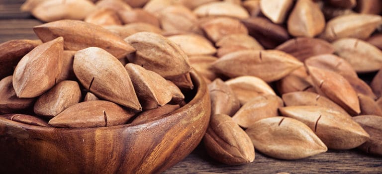 Pili Nuts Benefits, Nutrition Facts, Recipes and More - Dr. Axe
