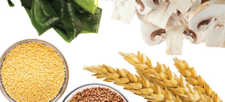 Beta Glucan: The Fiber that Supports Heart, Gut & Immune Health