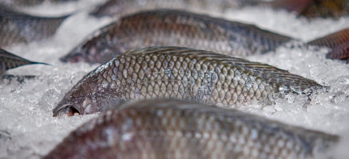 17 Fish You Should Never Eat, Plus Safer Seafood Options - Dr. Axe