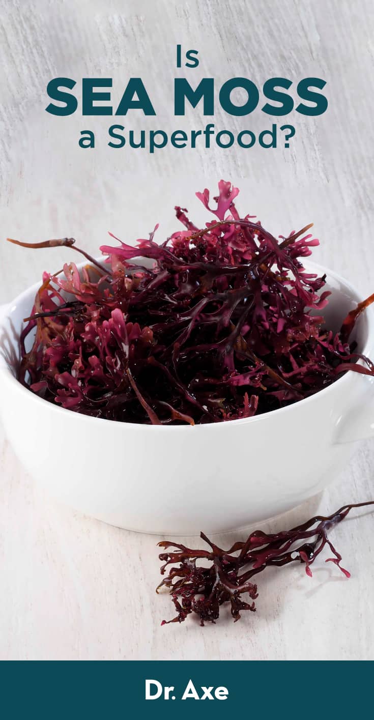 Sea Moss Benefits, Nutrition, How to Use and Side Effects - Dr. Axe