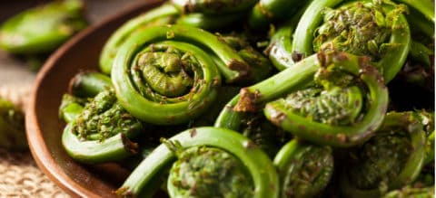 What Are Fiddleheads? How to Use These Edible Fern Shoots - Dr. Axe