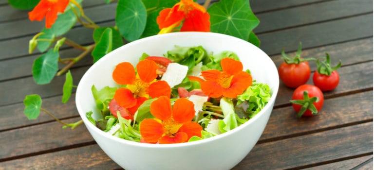Nasturtium Uses, Benefits, Recipes, How to Grow and More - Dr. Axe