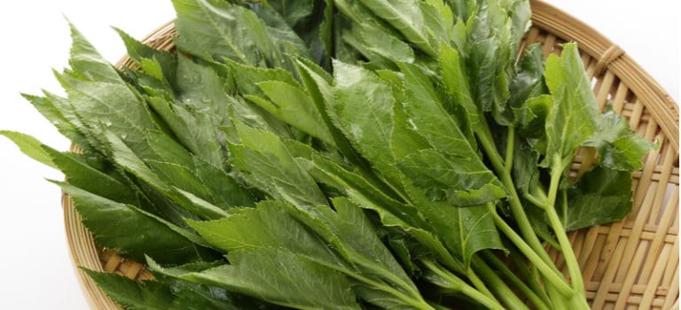 Ashitaba Benefits, Nutrition, Supplements and Side Effects - Dr. Axe