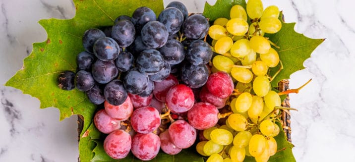 Benefits of Grapes Nutrition, Recipes, Types and Side Effects