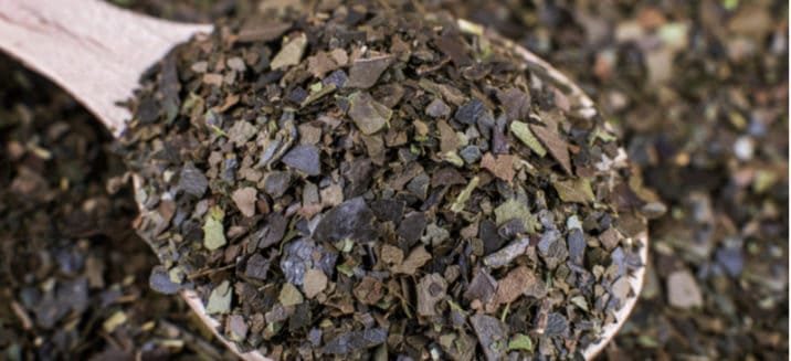 Guayusa Tea Benefits, Side Effects and How to Brew - Dr. Axe