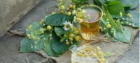 Linden Tea Benefits, Uses, Side Effects and How to Make It - Dr. Axe
