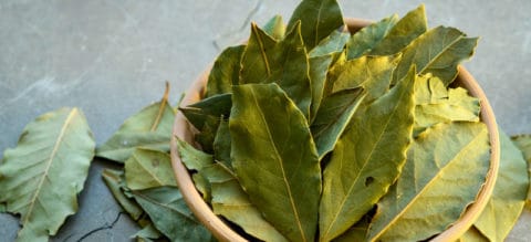 Bay Leaf Benefits, Nutrition, Side Effects and How to Use - Dr. Axe